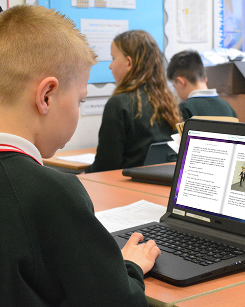 Serial Mash | Online books for Years 1 to 6 - 2simple.com